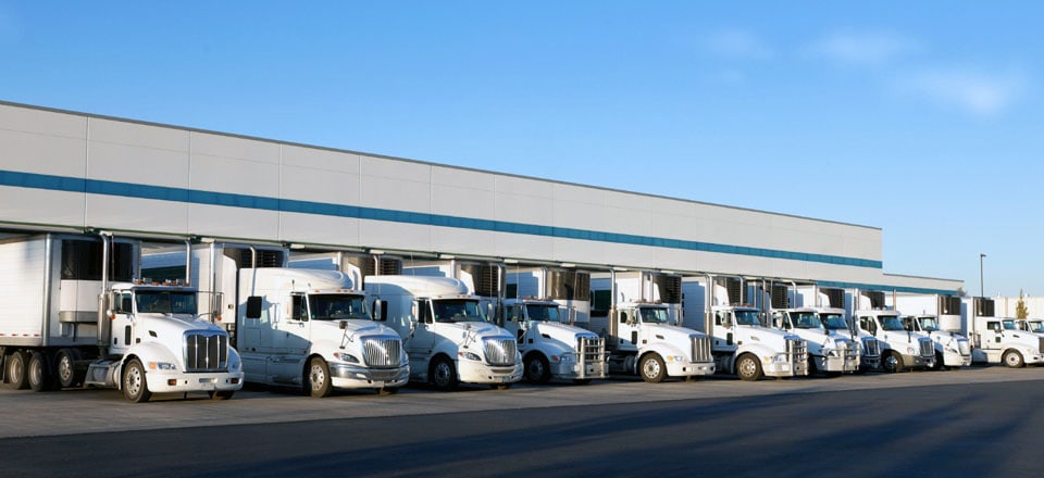 “All Freight Forwarders are the Same” - Pegasus Logistics Group